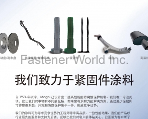 THE MAGNI GROUP, INC.Surface Treatment And Related Equipment