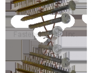 TRINITY STEEL PVT LTD / TRINITY STEEL PRIVATE LIMITED